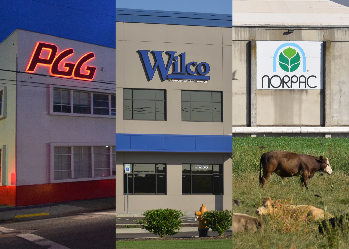 A historic decision for Wilco farmers