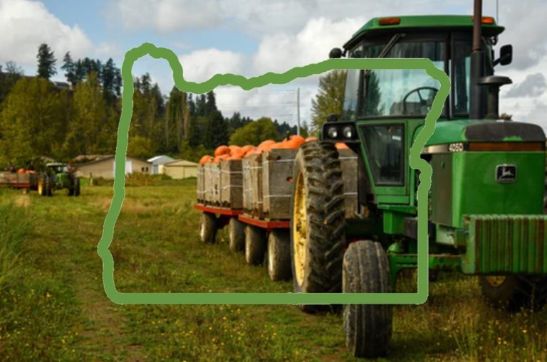 10 things Oregon Ag can cheer for this holiday season