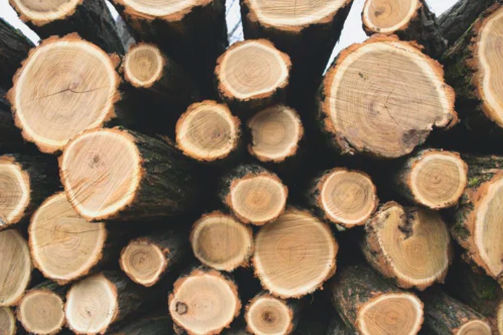 List of bad timber bills