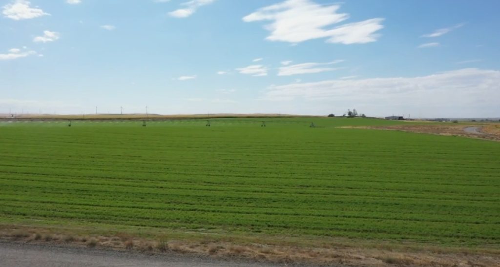 Ag rule update on Lower Umatilla Basin Groundwater Management Area